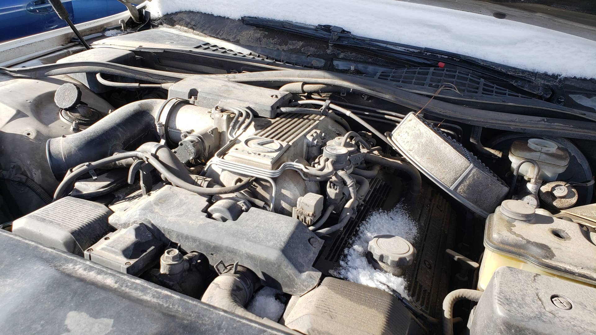 Junkyard Gem: 1990 Lexus LS 400