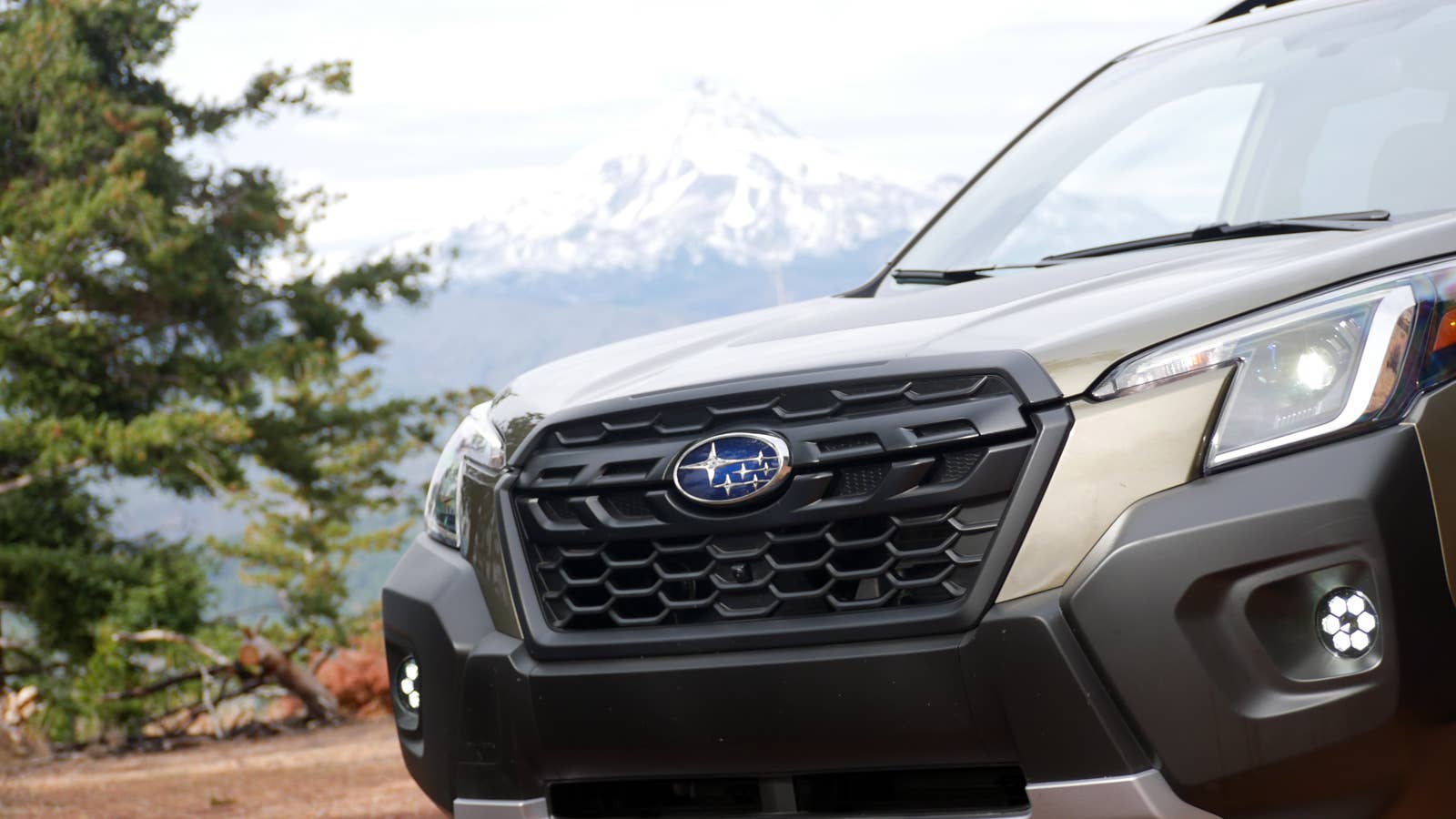 2024 Subaru Forester Review: To wait or not to wait (for the new model ...
