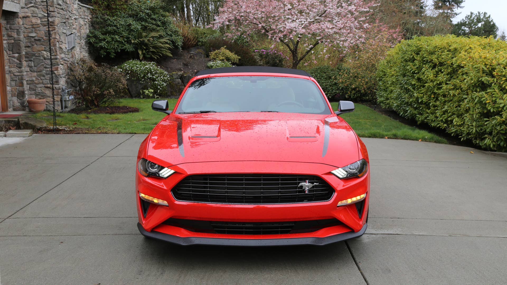 2020 Ford Mustang EcoBoost Convertible with High Performance Package ...