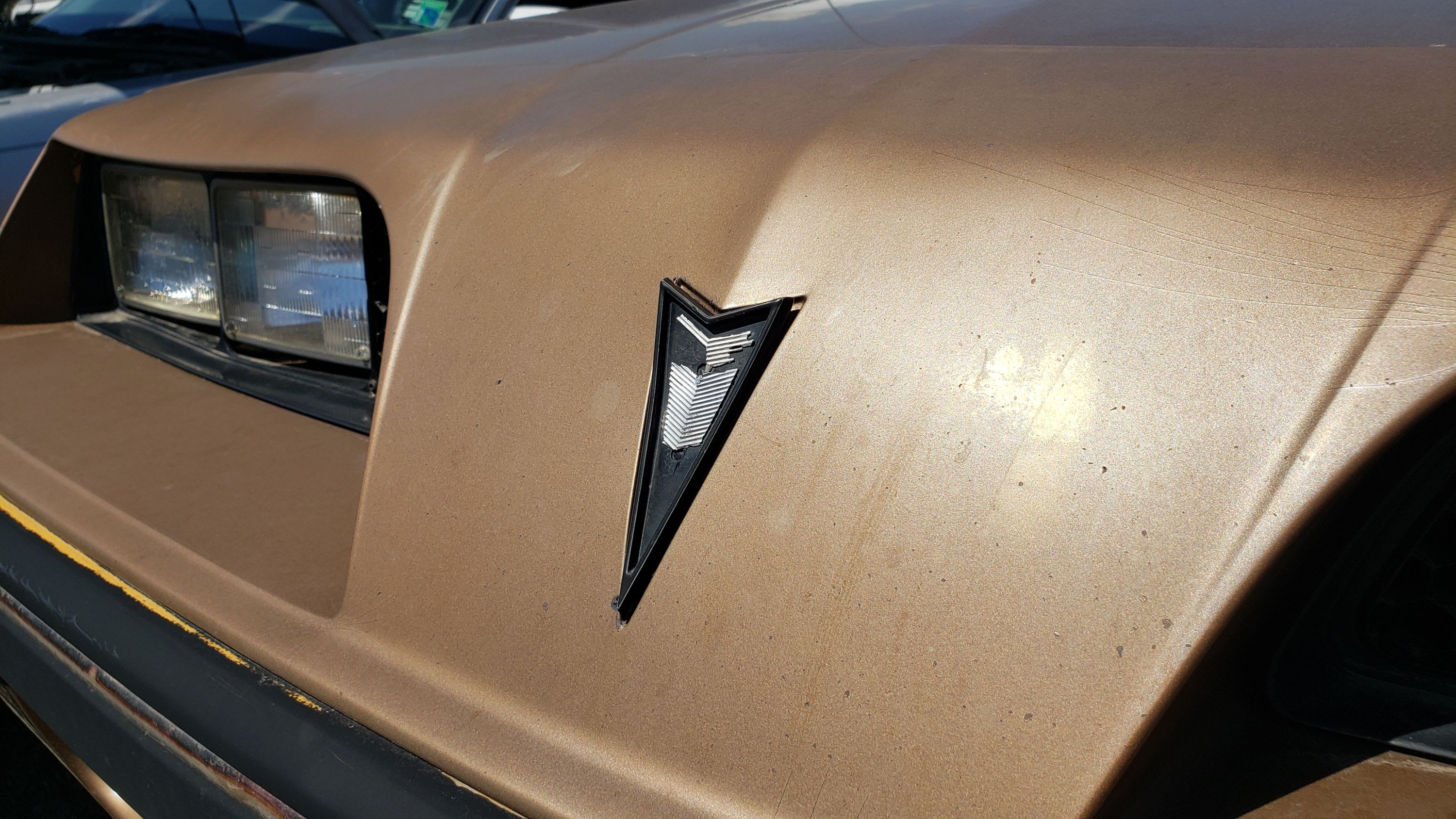 Junkyard Gem: 1986 Pontiac Sunbird Sedan - Autoblog