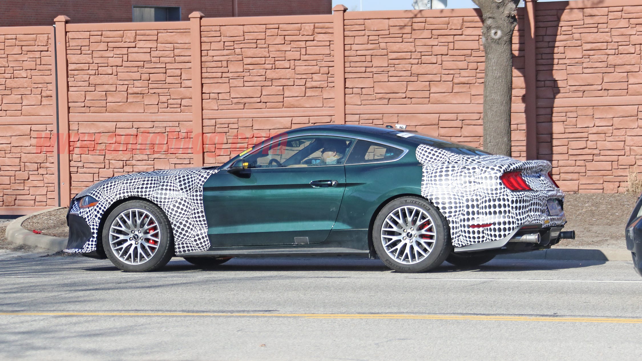 2021 Ford Mustang VIN decoder suggests Mach 1 is in, Shelby GT350 is ...