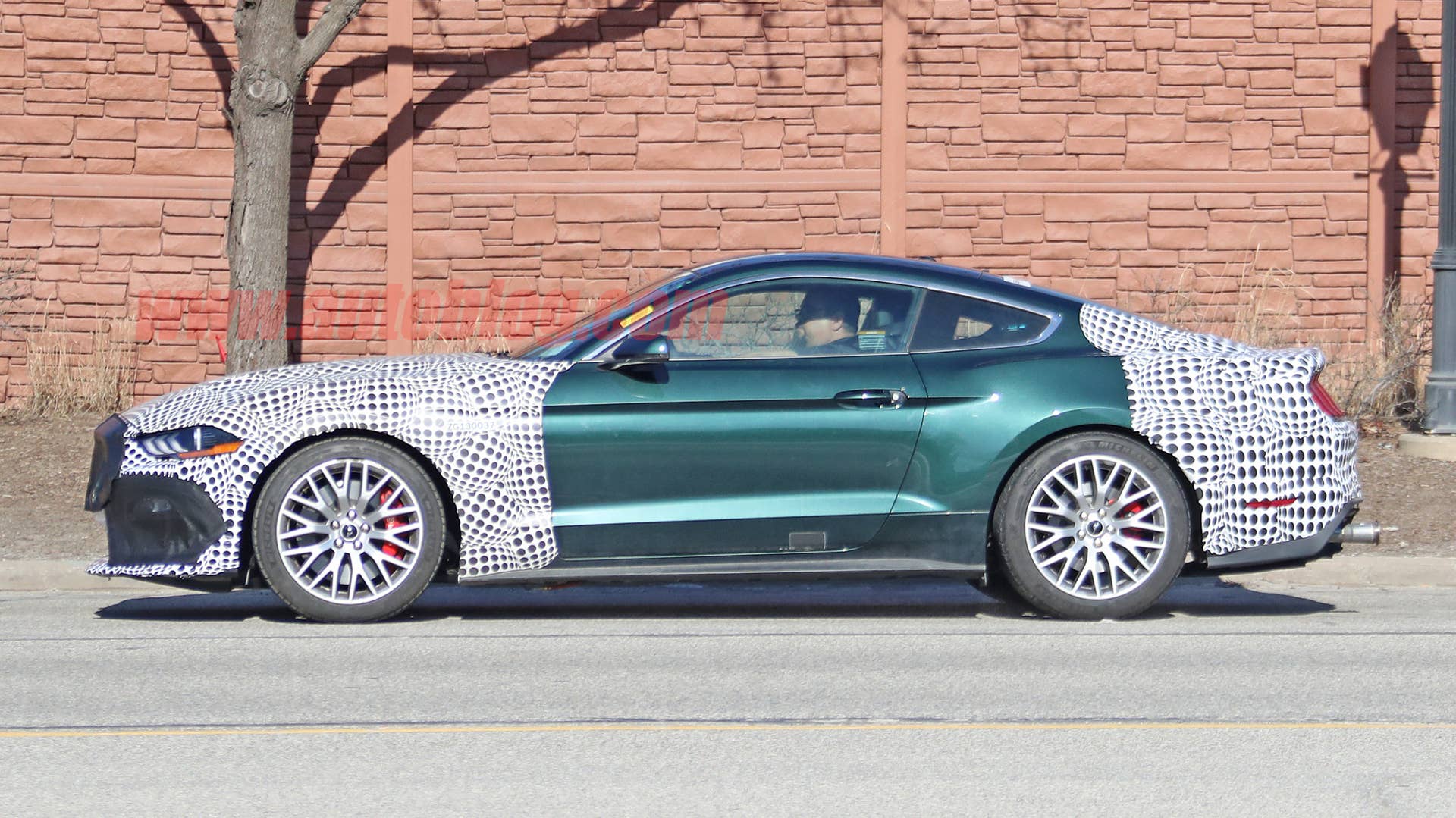 2021 Ford Mustang VIN decoder suggests Mach 1 is in, Shelby GT350 is ...