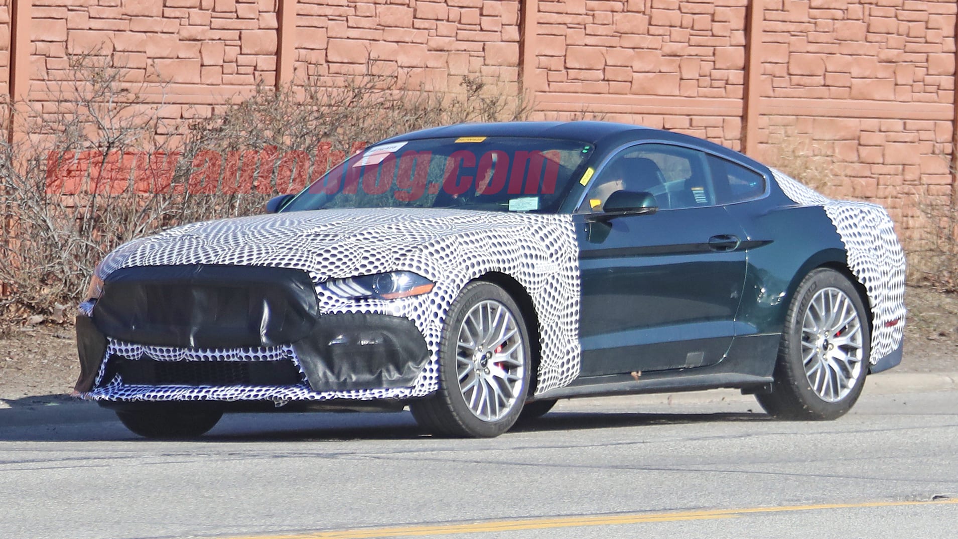 2021 Ford Mustang VIN decoder suggests Mach 1 is in, Shelby GT350 is ...