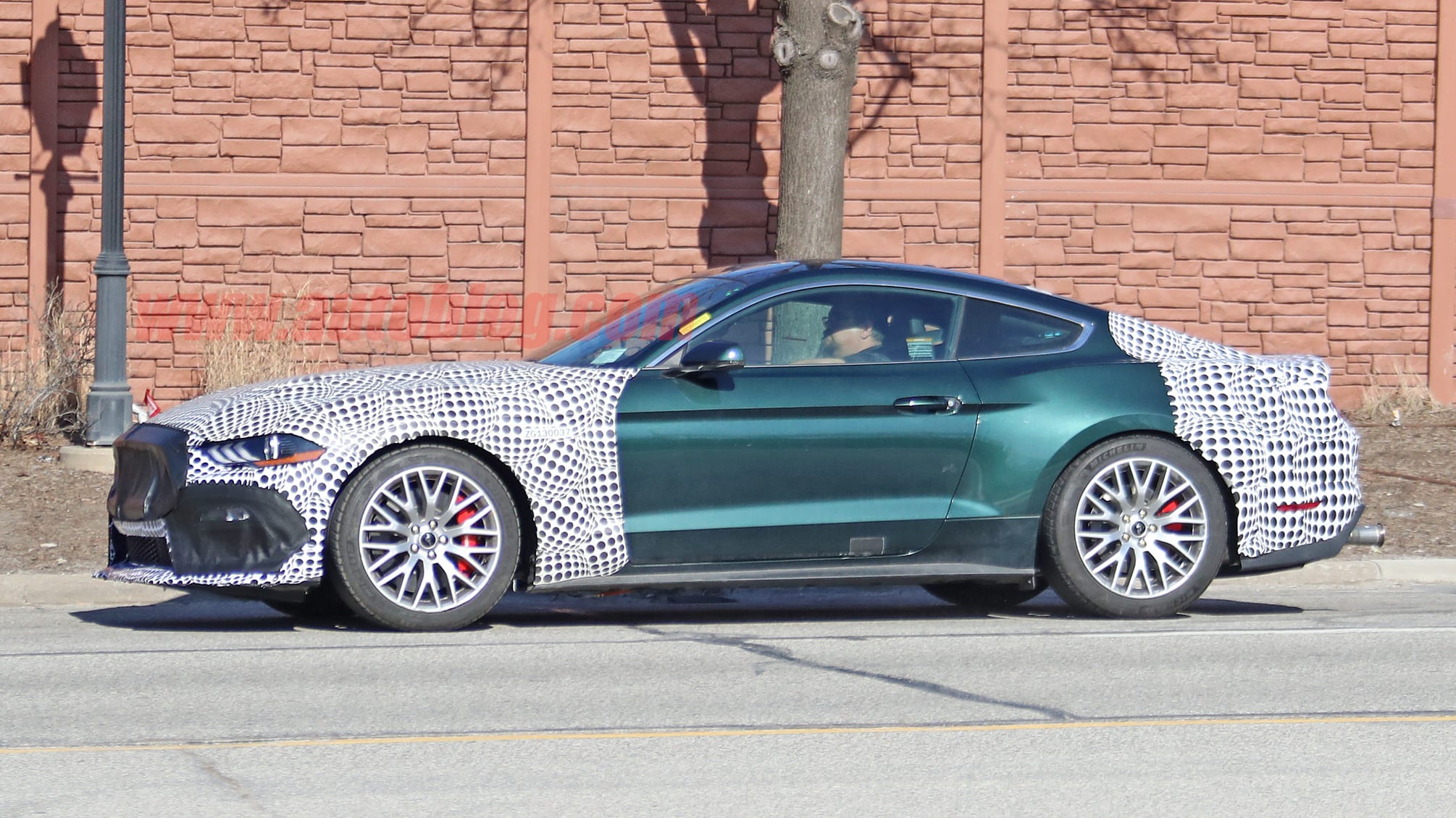 2021 Ford Mustang VIN decoder suggests Mach 1 is in, Shelby GT350 is ...