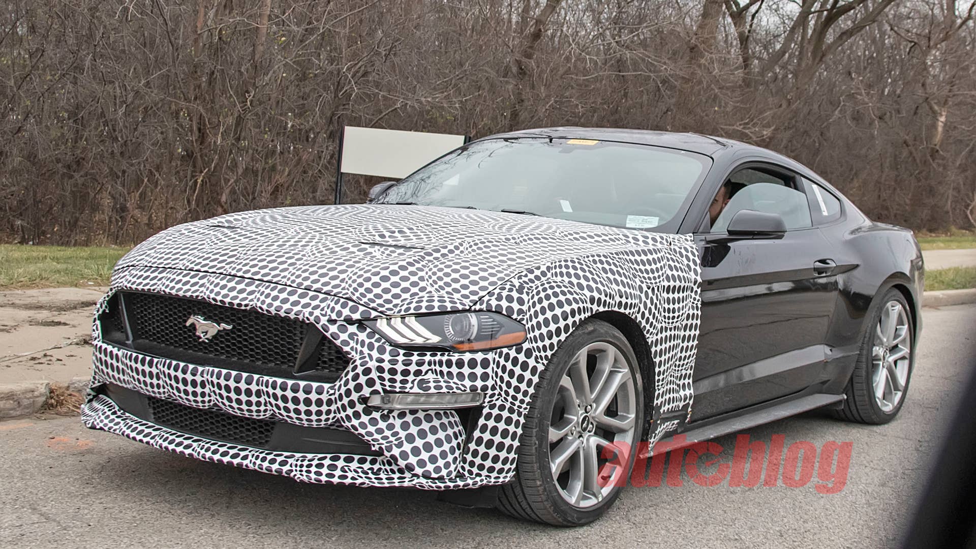 Mystery Ford Mustang mule caught in fresh spy photos