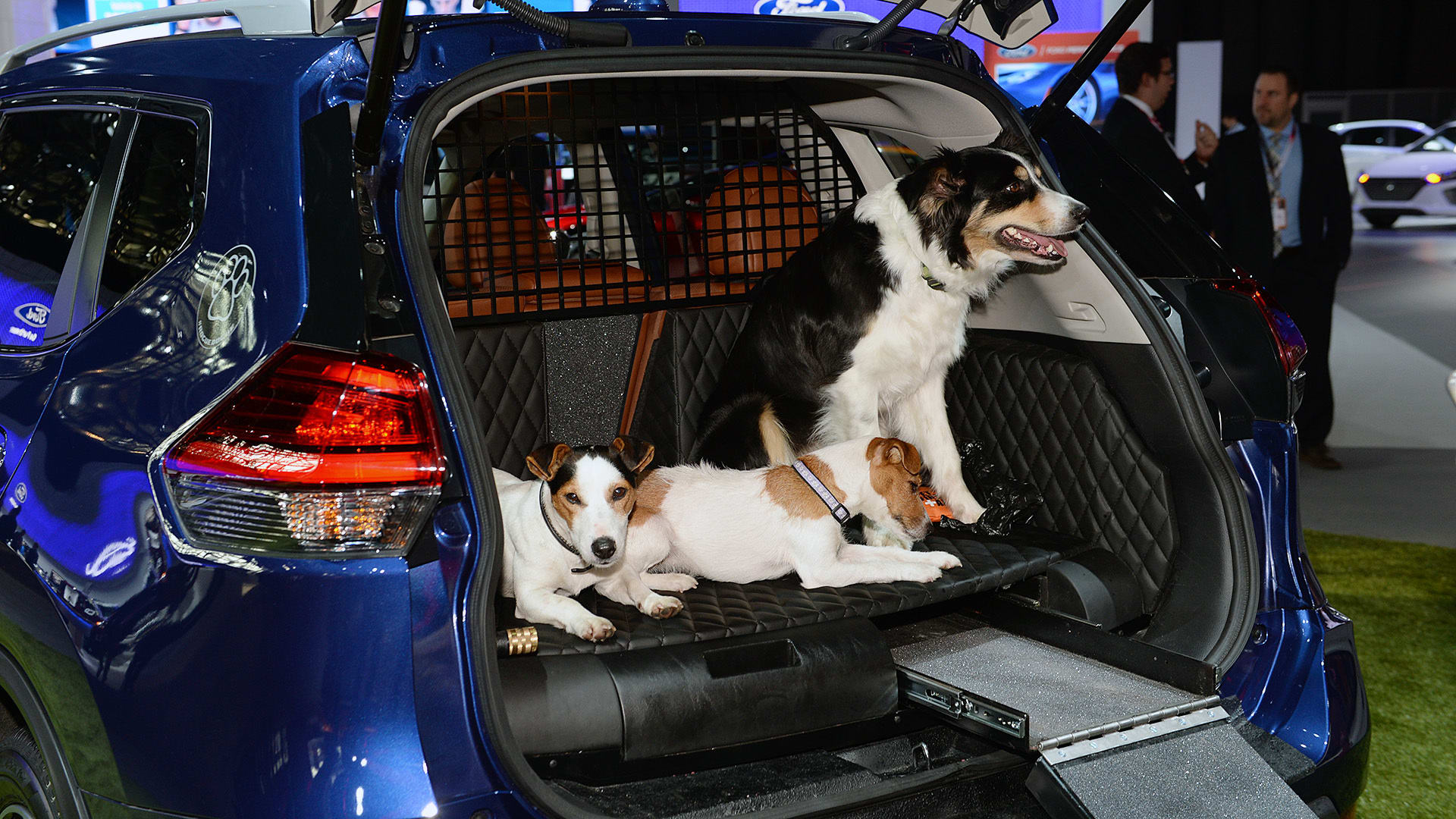 Nissan creates the Rogue Dogue, a crossover dog owners will be begging ...