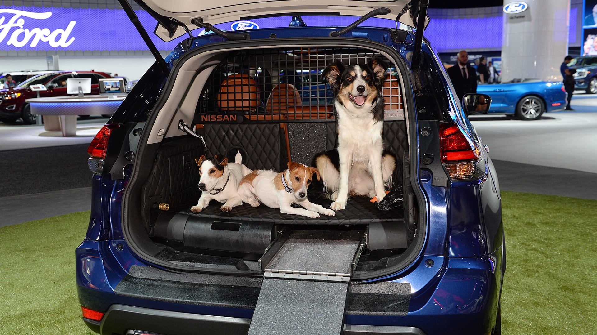 Nissan creates the Rogue Dogue, a crossover dog owners will be begging ...