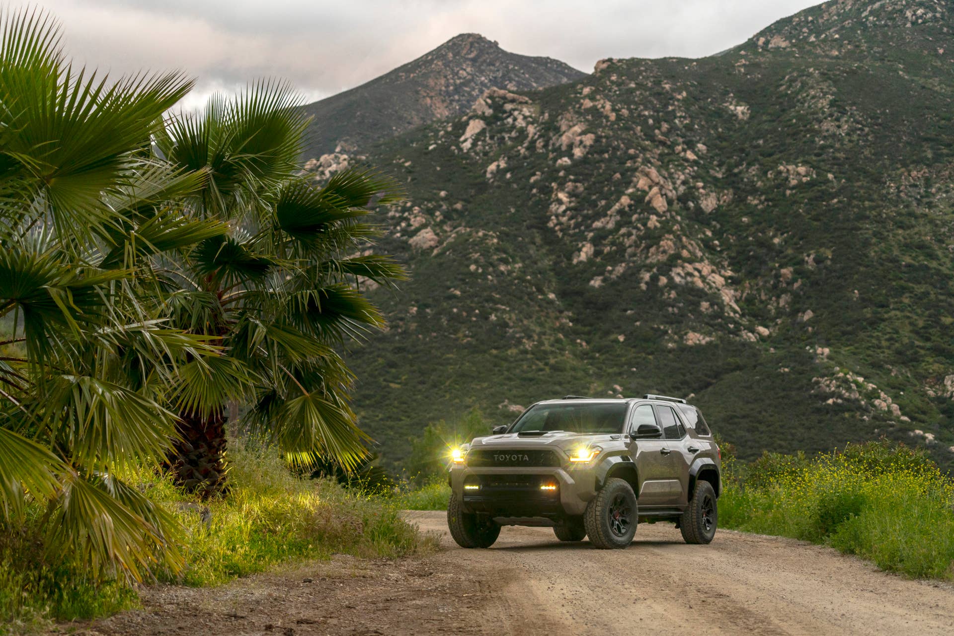 2025 Toyota 4Runner vs 2024 Toyota Land Cruiser: Exploring key ...