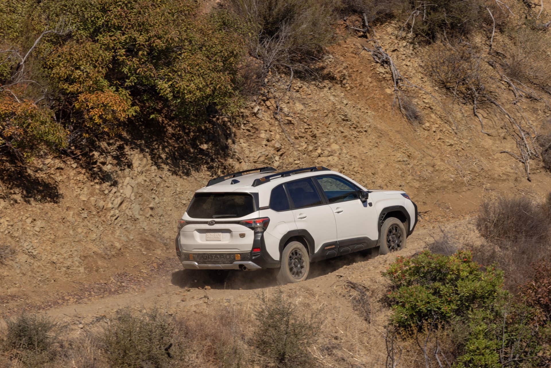 2026 Subaru Forester Hybrid and Wilderness unveiled - Autoblog