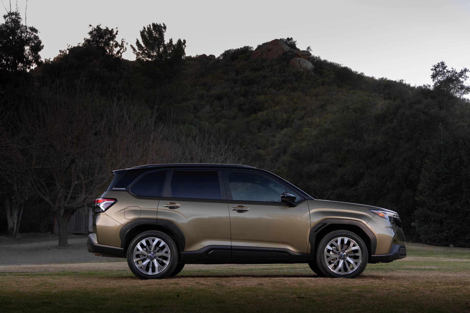 2026 Subaru Forester Hybrid and Wilderness unveiled - Autoblog