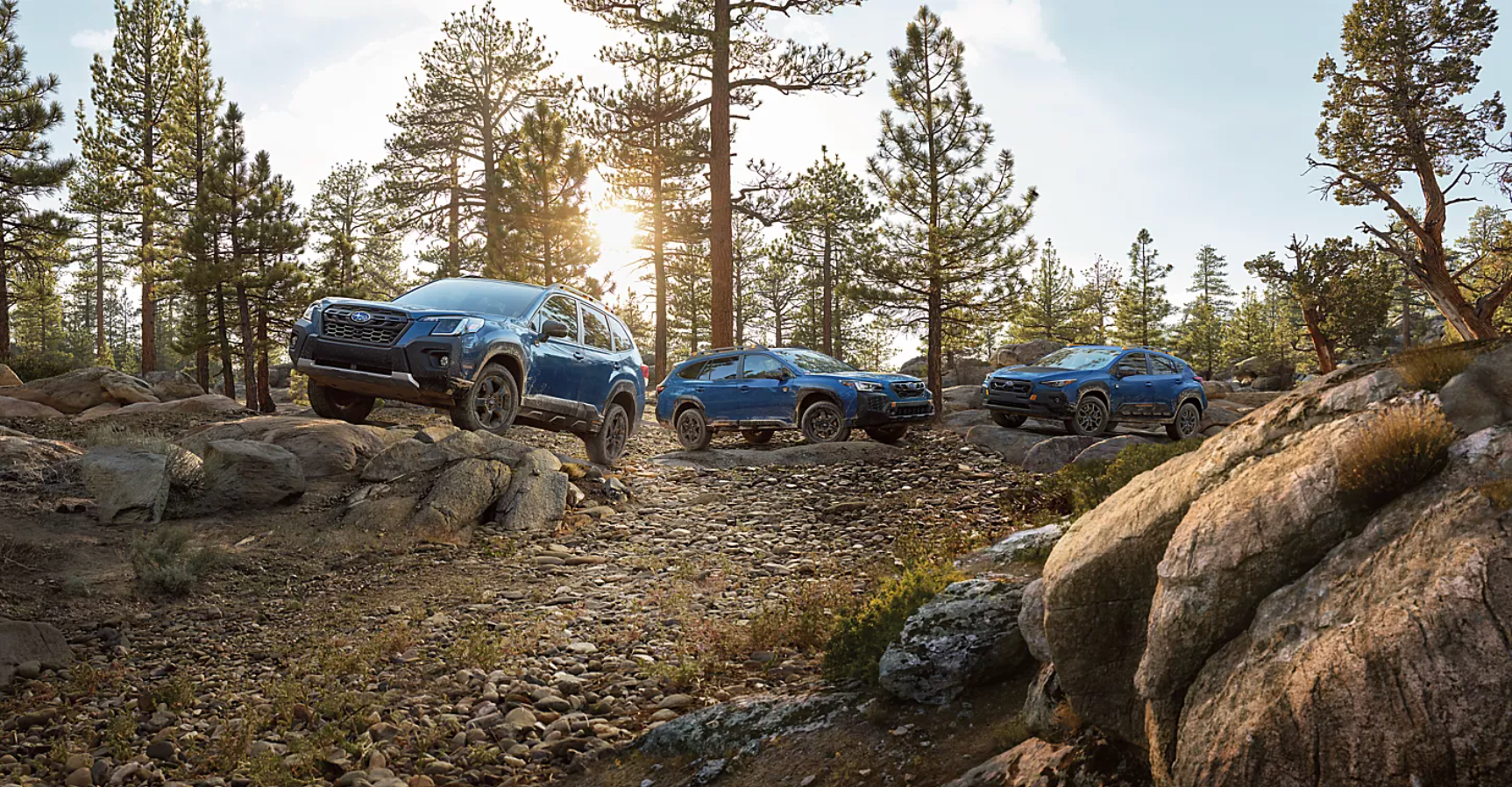 The 2026 Subaru Forester Wilderness Might Be the Best Wilderness Model ...