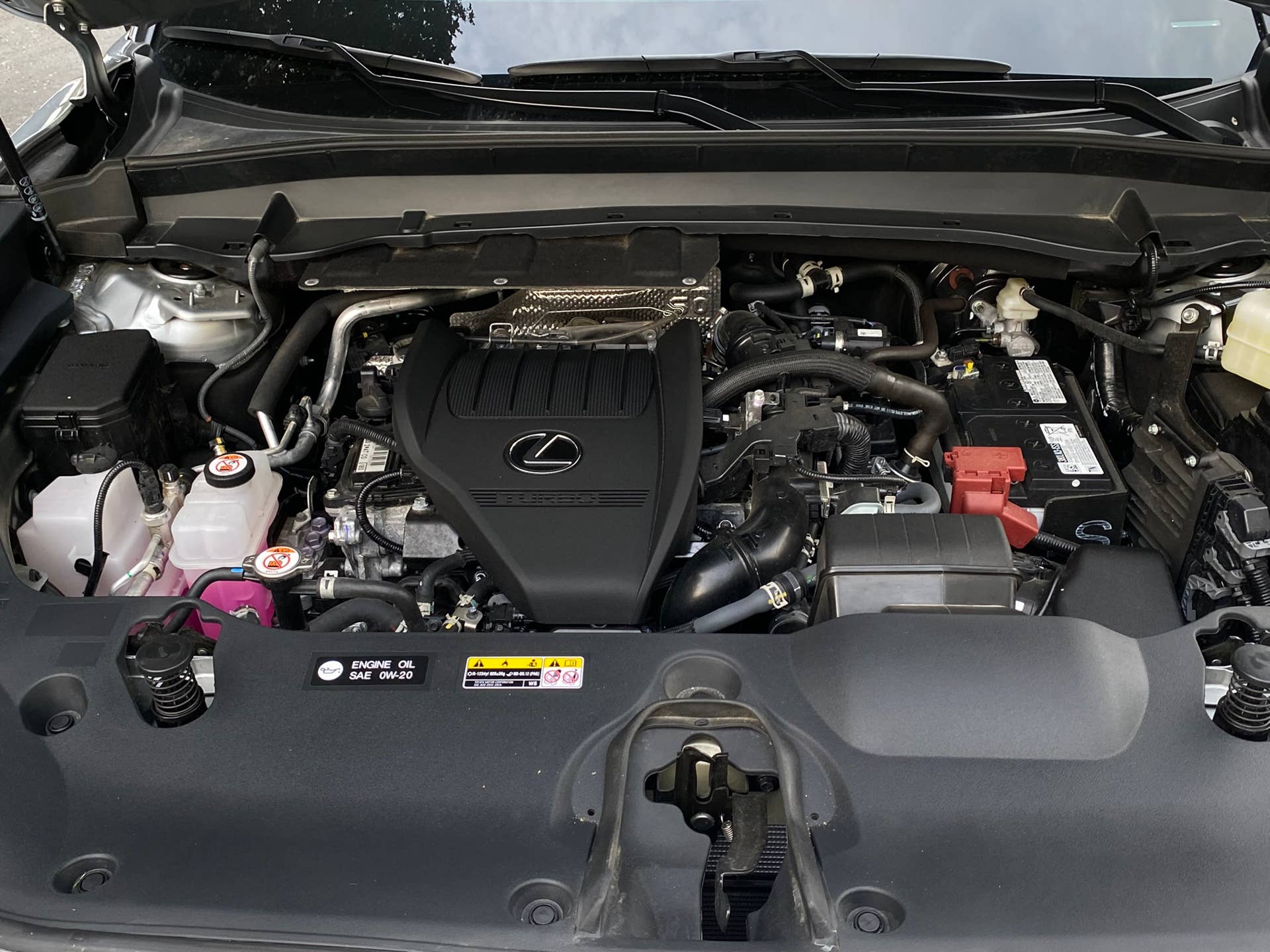 I Road Tripped a 2025 Lexus TX 350 Luxury AWD and This is My Honest ...