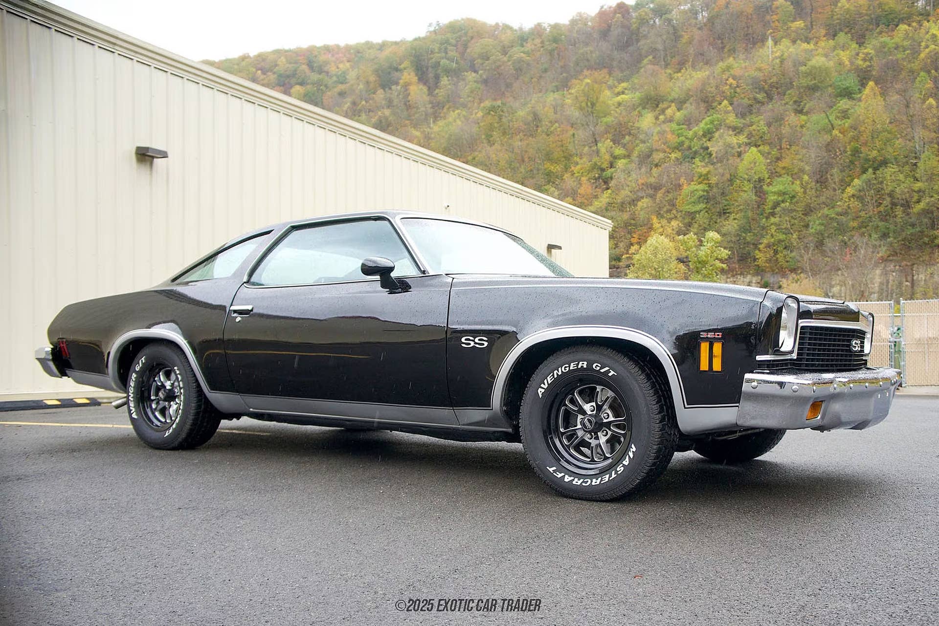 1973 Chevrolet Chevelle Malibu SS For Sale In Terrific Original ...